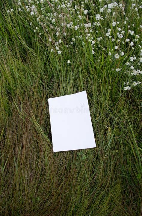 Mockup Of A White A4 Sheet On A Background Of Green Leaves Stock