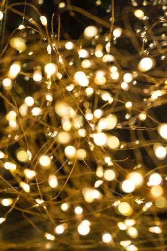 마이크로 Led 문자열 조명 클러스터 흐리게 초점이 필드의 얕은 깊이 녹색에 대한 스톡 사진 및 기타 이미지 녹색 크리스마스 트리 0명 Istock