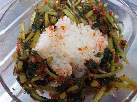 열무김치비빔밥 레시피 비빔밥 한그릇요리
