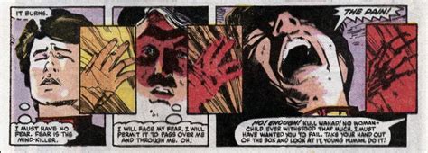 Bill Sienkiewicz Dune Bene Gesserit Sequence