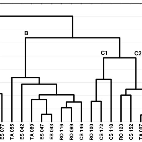 Dendrogram Based On The Morphological Traits Of 17 Populations Of Red