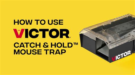How To Use The Victor Catch And Hold Mouse Trap M335 Youtube