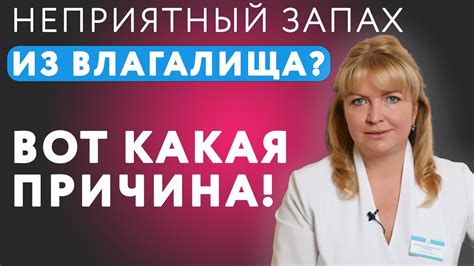 Бактериальный вагиноз Симптомы бактериального вагиноза и лечение Youtube