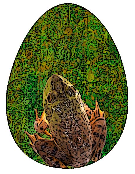 Froggie Egg By Likitarenn On Deviantart