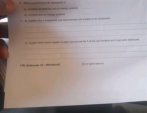 4 Which Pyramid A Or B Represents A A Numbers StudyX
