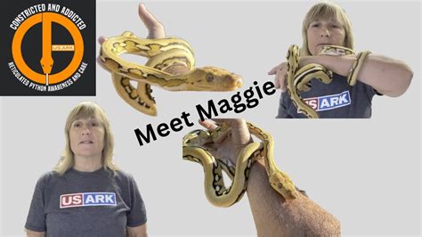 My Wife Takes Over And Unboxes A New Reticulated Python Youtube