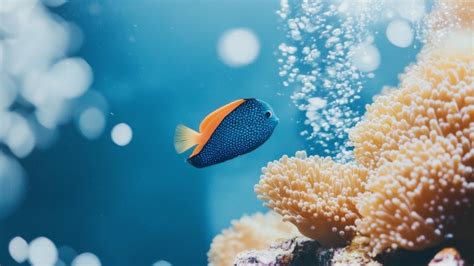 Underwater Ecosystem Wallpapers Free 4k Backgrounds