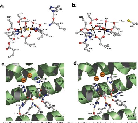 Figure 3 From Crystal Structure Of The Toluene O Xylene Monooxygenase
