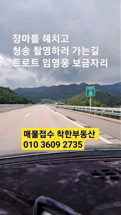 장마를 헤치고청송 촬영하러 가는길 신나는 트로트 임영웅 보금자리 매물접수 착한부동산 010 3609 2735 Youtube