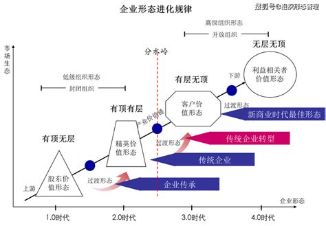 杨少杰：解读英伟达（nvidia）的组织管理特征 结构 公司 价值