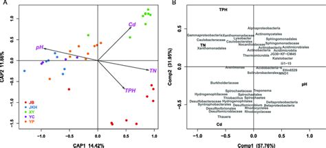 A Constrained Analysis Of Principal Coordinates Cap Based On