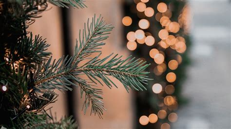 Christmas Tree With Lights Wallpaper