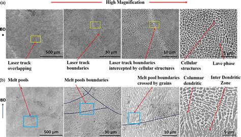 Sem Micrographs Of Slm In718 A Along The Bd And B Across The Bd