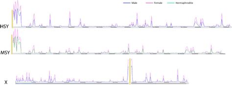 Map Of The Srna Alignment On The Sex Specific Regions Of The Papaya Sex