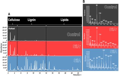 A Py Gcms Chromatograms Of Appl Obtained From Control And Wheat