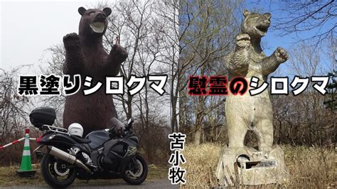 黒塗りシロクマと慰霊のシロクマ ジョイランド樽前 北海道野生動物公園 廃墟 苫小牧市 Steel on Hayabusa 隼 in