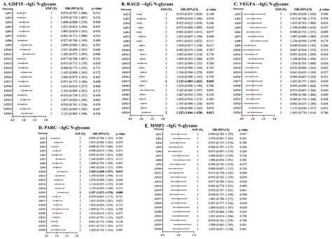 The Overview Of The Bidirectional Mr Study Design Mr Mendelian