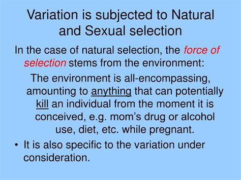 PPT Evolution Natural Selection PowerPoint Presentation Free