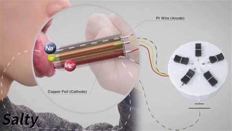 The End Of Food Taste Synthesizer Will Transform Space Travel The End Of Food Taste Synthesizer Will Transform Space Travel