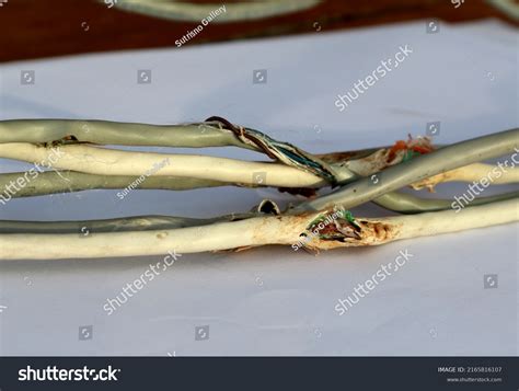 Network Cable Broken Closeup Shot Broken Stock Photo 2165816107 Shutterstock
