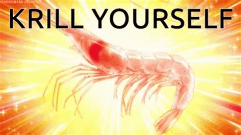 Prawns Memes