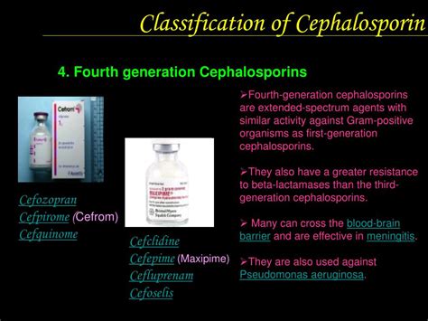 Ppt Cephalosporins Powerpoint Presentation Free Download Id 4278789
