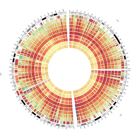 Tutorial Images Circos Circular Genome Data Visualization