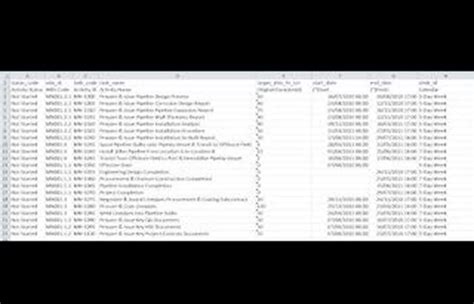 Cómo Exportar Desde Microsoft Project A Excel En 15 Pasos