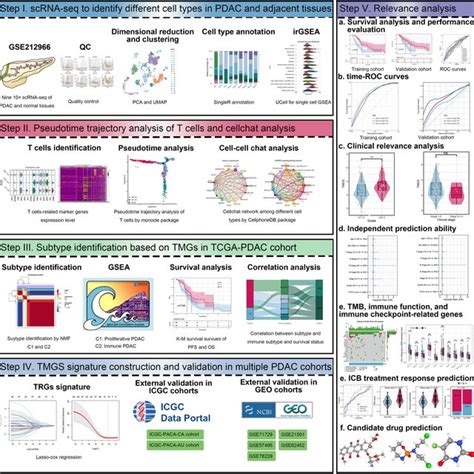 Tmgs Identification And Validation In Multi Omics Datasets A Lasso Download Scientific