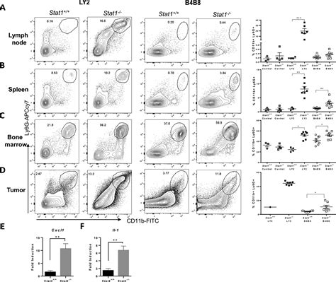 Stat1 Inhibits T Cell Exhaustion And Myeloid Derived Suppressor Cell Accumulation To Promote