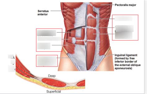 Diagram Of Lab 6 N Quizlet