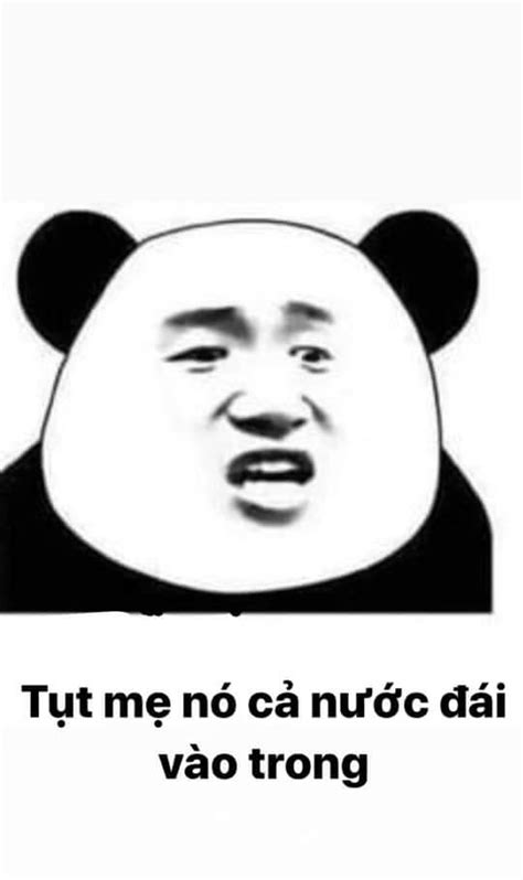 Tổng Hợp 98 Hình ảnh Meme Gấu Trúc Hài Hước Lầy Lội Nhất
