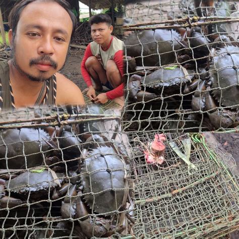 တူလေးငါးရှဥ့်နှိုက်တာ ကြည့်ကြမယ်😊😊 တူလေးငါးရှဥ့်နှိုက်တာ ကြည့်ကြမယ်😊😊 စိန်ကြီးဂေါင်ကြီးတို့