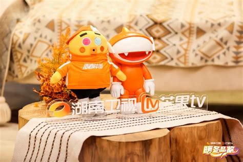 干货满满 诚意十足——湖南卫视and芒果tv“暖冬品鉴”云分享会圆满召开 芒果日志 会员动态 湖南省网络视听协会
