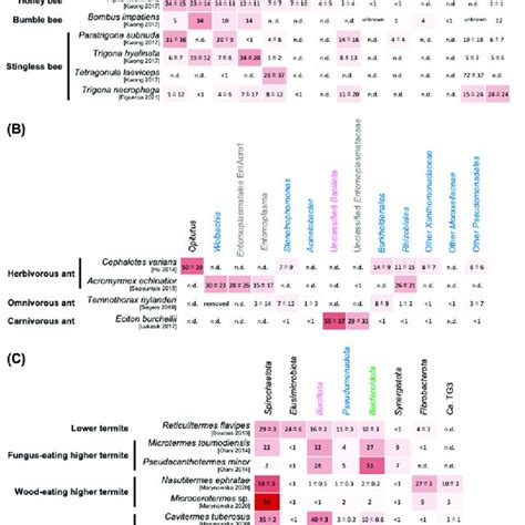 Structural Profiles Of Gut Microbial Communities In Eusocial Insects