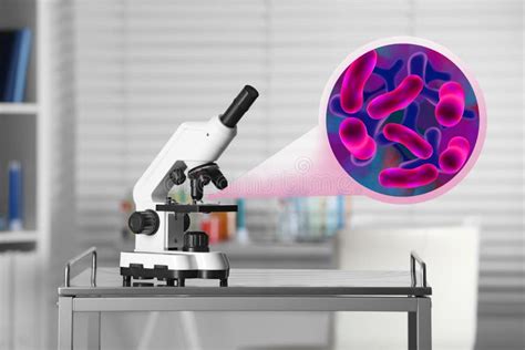 Examination Of Sample With Bacteria Under Microscope In Laboratory Stock Image Image Of