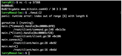 Cybersecurity Researchers Take Down Ddos Botnet By Accident