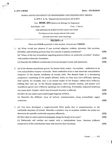 Bme 401 Q Pdf Immune System Gene Expression