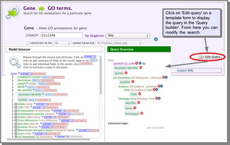 Template Searches — Intermine User 10 Documentation