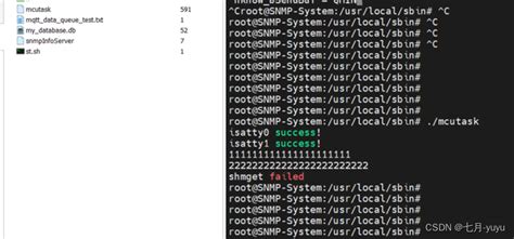 嵌入式应用开发中出现的共享内存获取失败的问题，以及如何解决方案共享内存 Bus Error Csdn博客