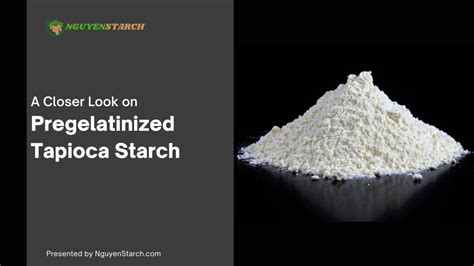 Pregelatinized Tapioca Starch Properties Applications Production Manufacturers