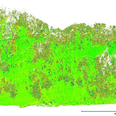 Difference Model Between Two Point Clouds Tls And Combined Rpas And Download Scientific