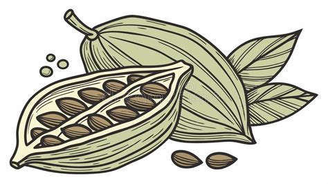 Cocoa Beans In Pod Raw Chocolate Source Vector Design Generative Ai Stock Vector Illustration