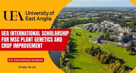 Uea International Scholarship For Msc Plant Genetics And Crop