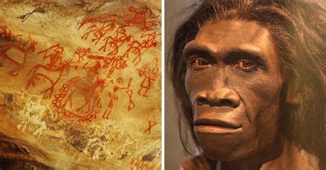 ‘sivapithecus Had Been The Common Ancestor Of Borneo Sumatran Great