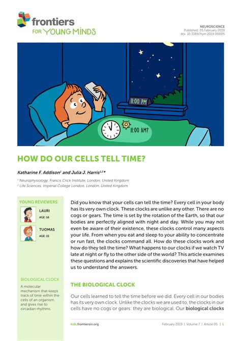 Pdf How Do Our Cells Tell Time