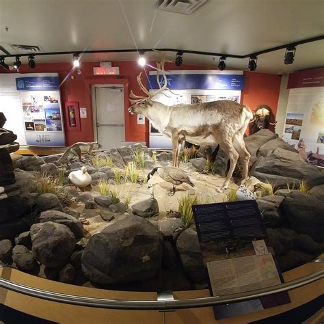 Unikkaarvik Visitor Centre Iqaluit 2023 Lohnt Es Sich Mit Fotos