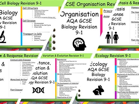 B1 B7 Aqa Gcse Science Biology Revision Bundle 9 1 Teaching Resources