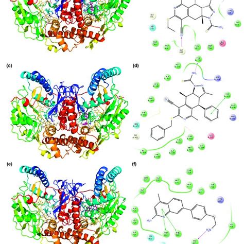 Best Docked Poses Of The Protein Ligand Complex And Its Corresponding