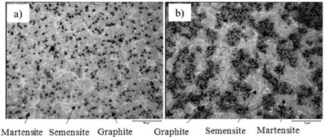 The Microstructure Of The Nickel Alloyed Cast Iron Via The Foil Download Scientific Diagram